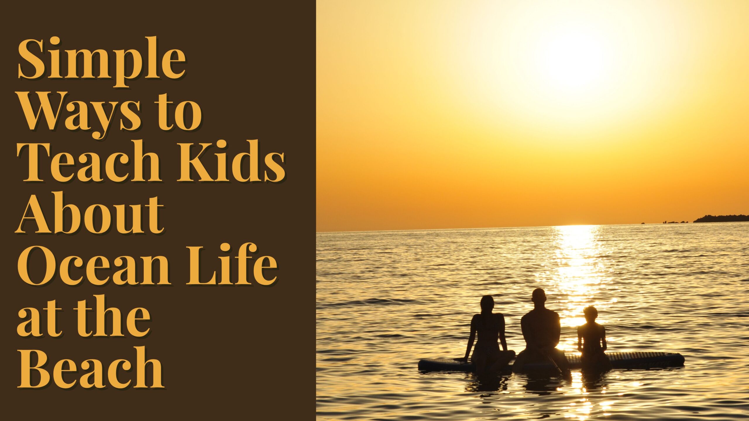 Simple Ways to Teach Kids About Ocean Life at the Beach